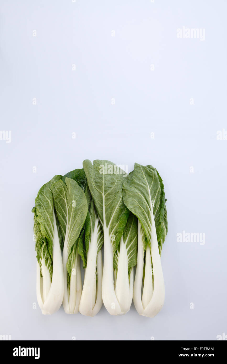 pak choy (chinese cabbage) isolated on white Stock Photo - Alamy