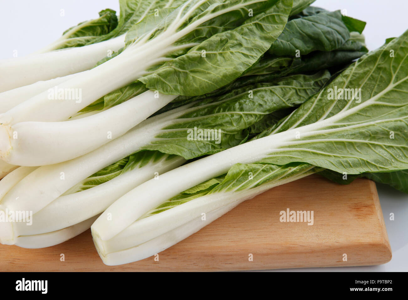 pak choy (chinese cabbage) isolated on white Stock Photo - Alamy