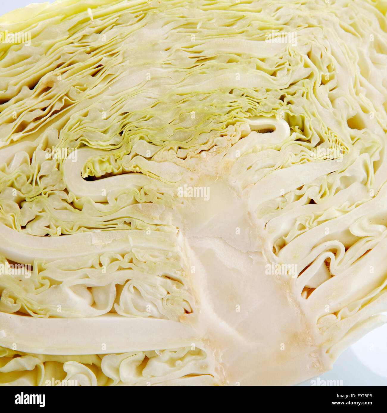 Cabbage cut in half isolated on white background Stock Photo - Alamy