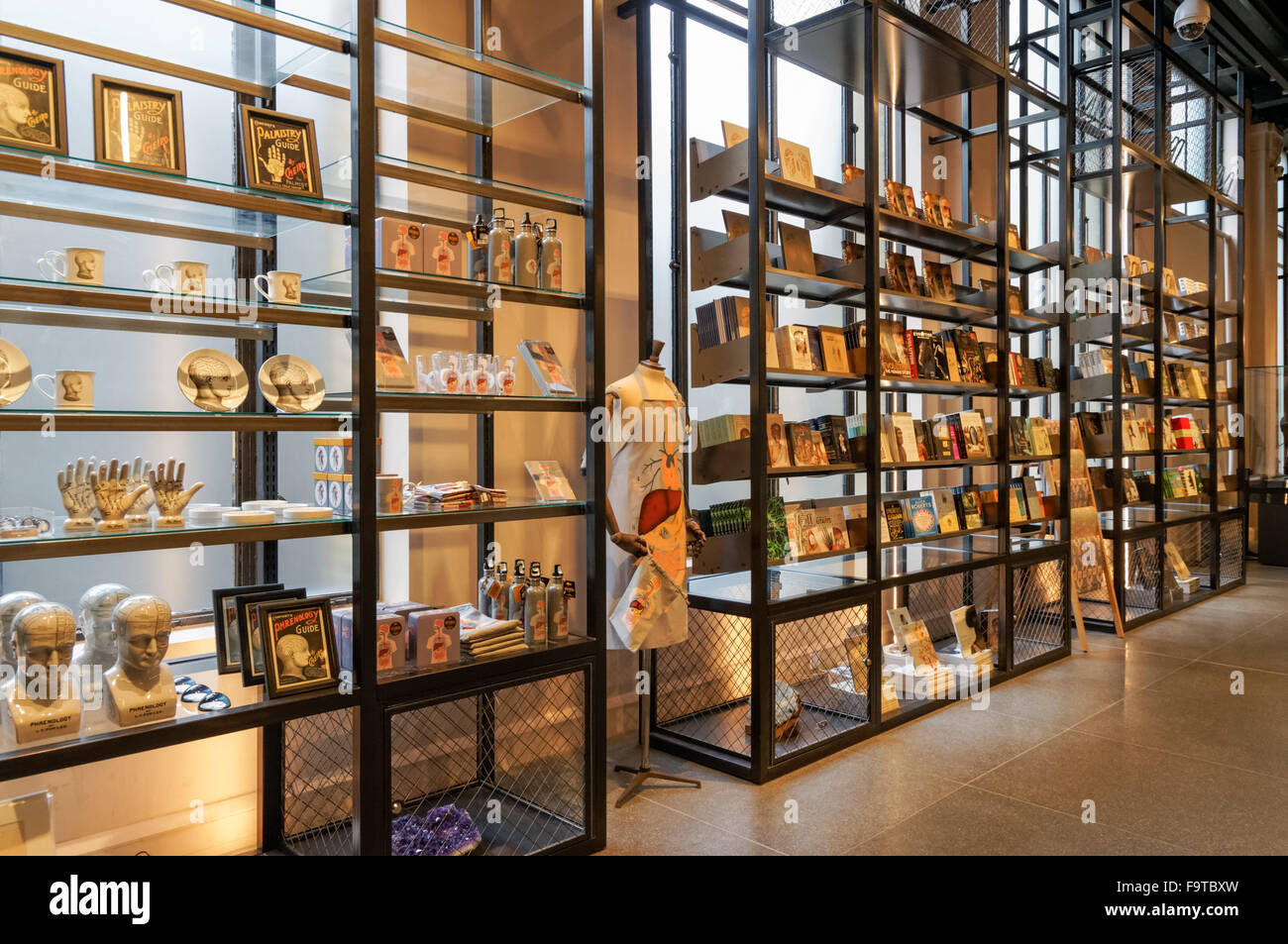 Human evolution gallery at the Natural History Museum in London United ...