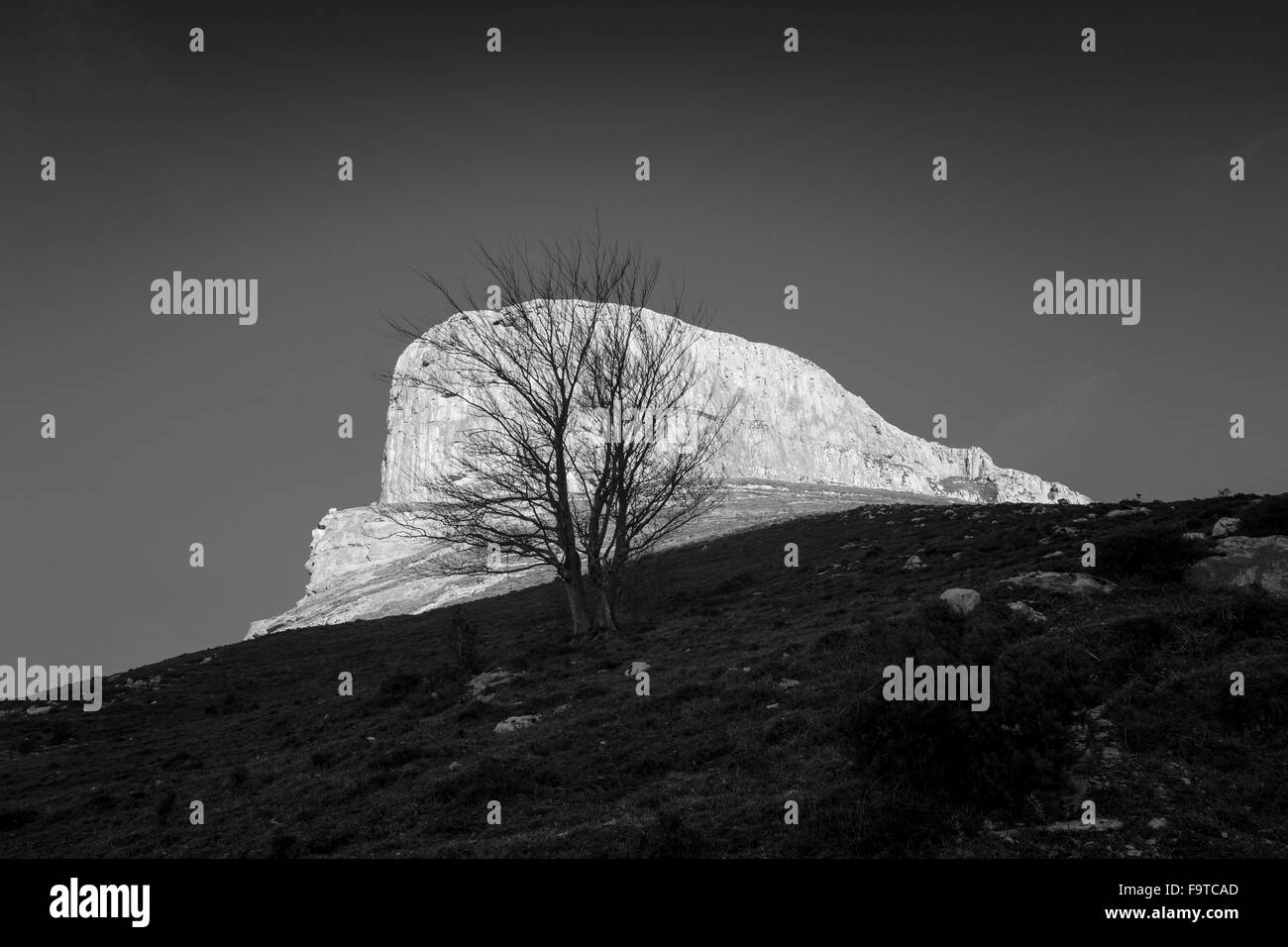 high contrast landscape with tree and mountain composition Stock Photo ...
