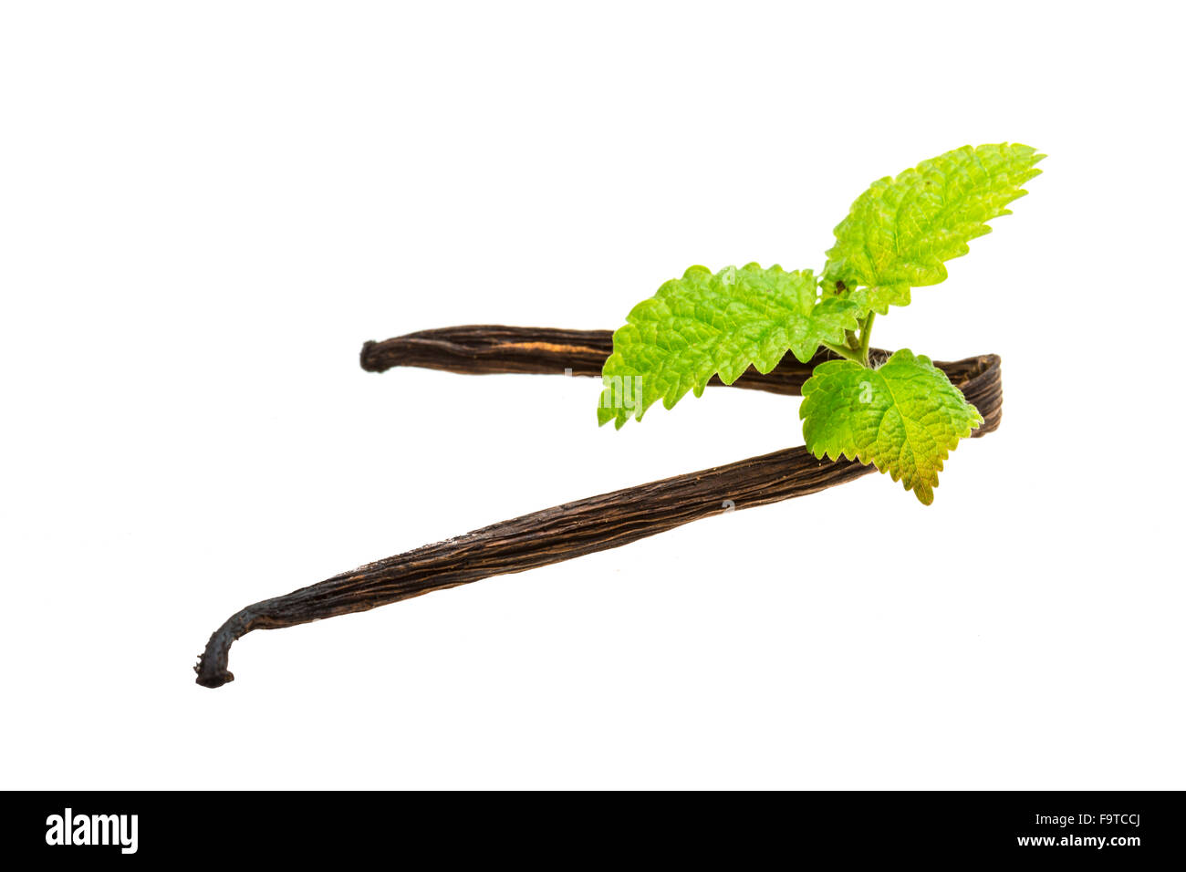 Vanilla with mint isolated studio Stock Photo - Alamy