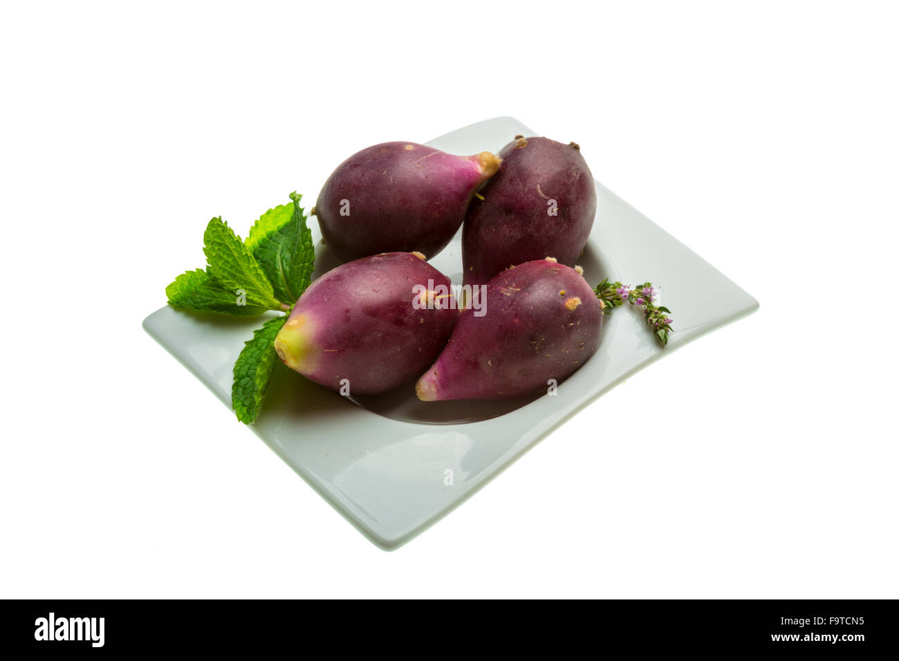 Cactus sabr in the dish Stock Photo - Alamy