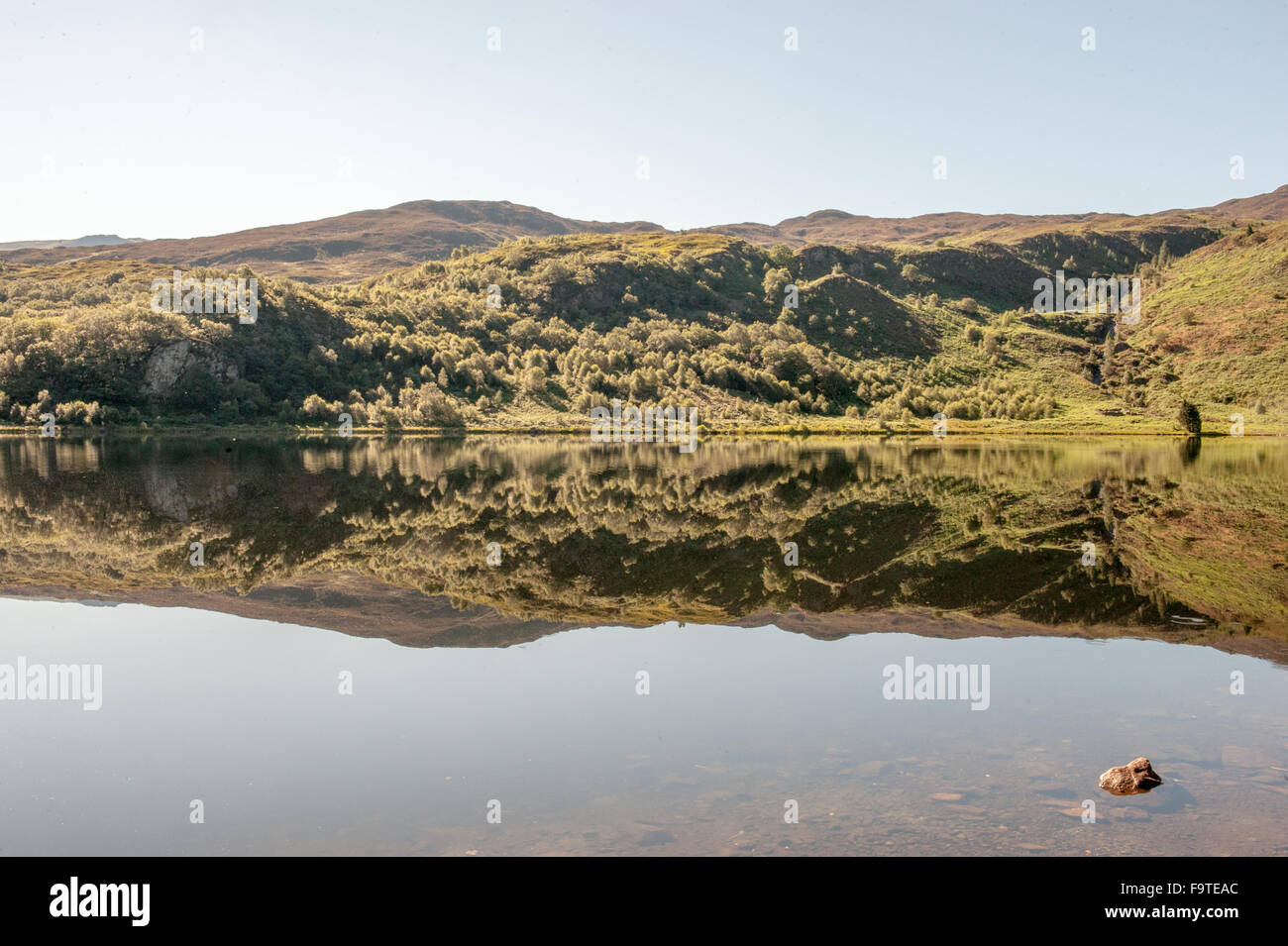 green land reflected and mirrored in still water Stock Photo - Alamy