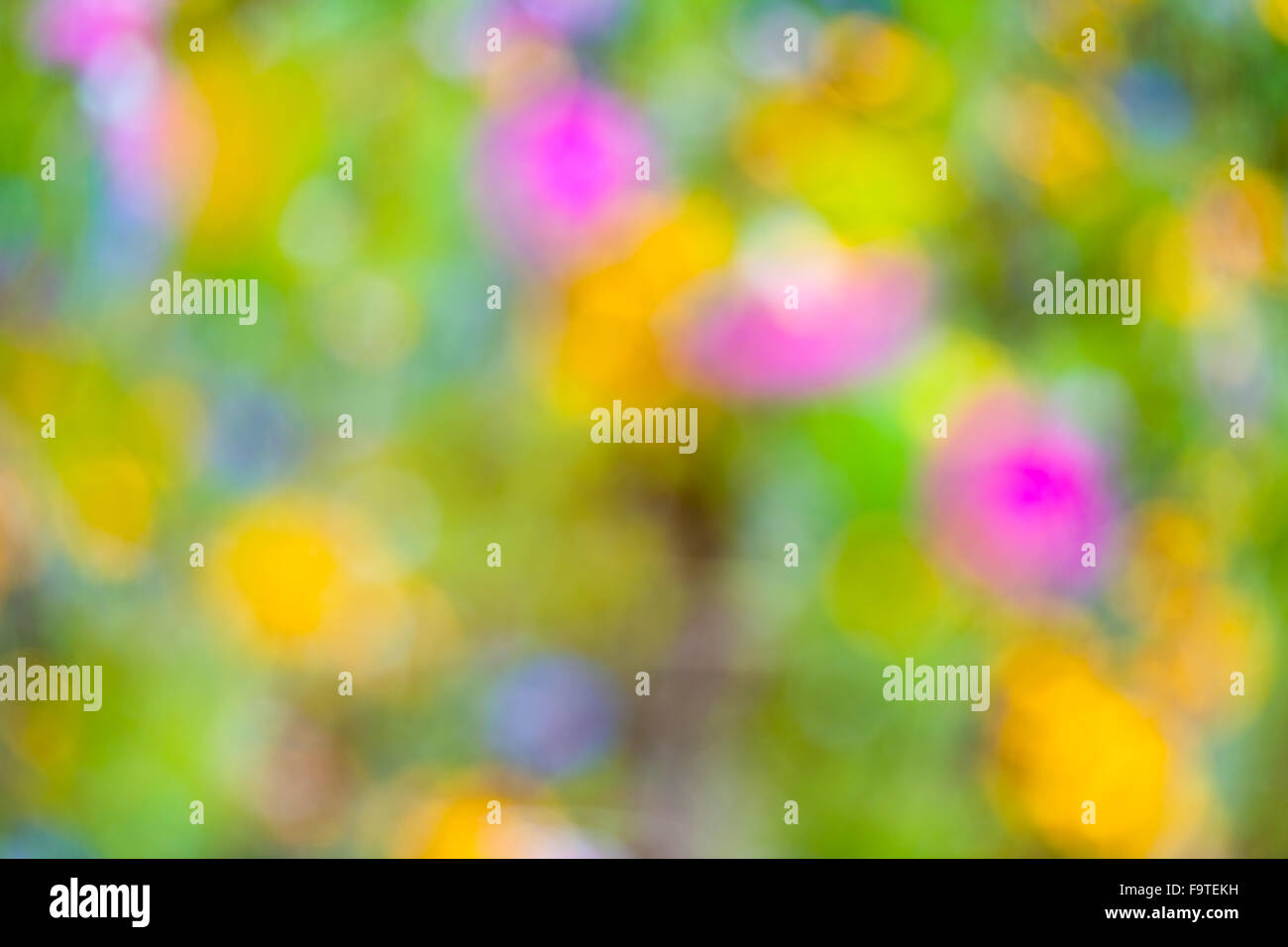 Soft green bokeh blur abstract hi-res stock photography and images - Alamy