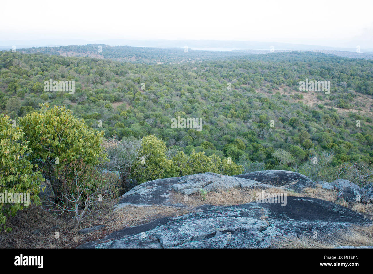 Lake Mburo National Park, Uganda Stock Photo - Alamy