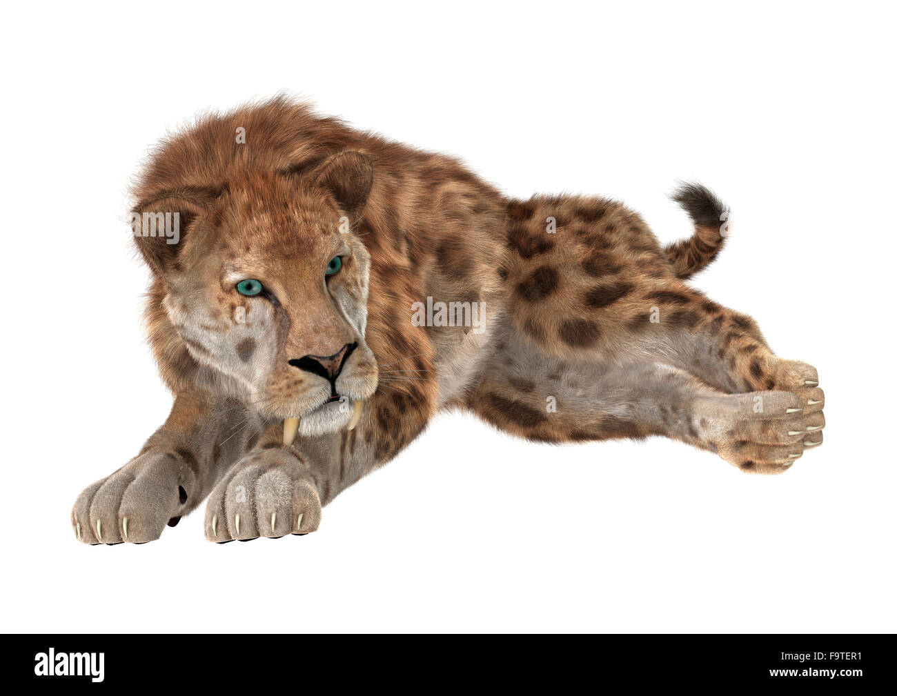 3D digital render of a big cat sabertooth isolated on white background ...