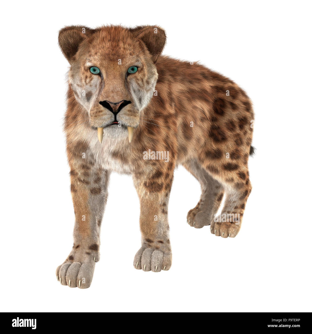 3D digital render of a big cat sabertooth isolated on white background ...