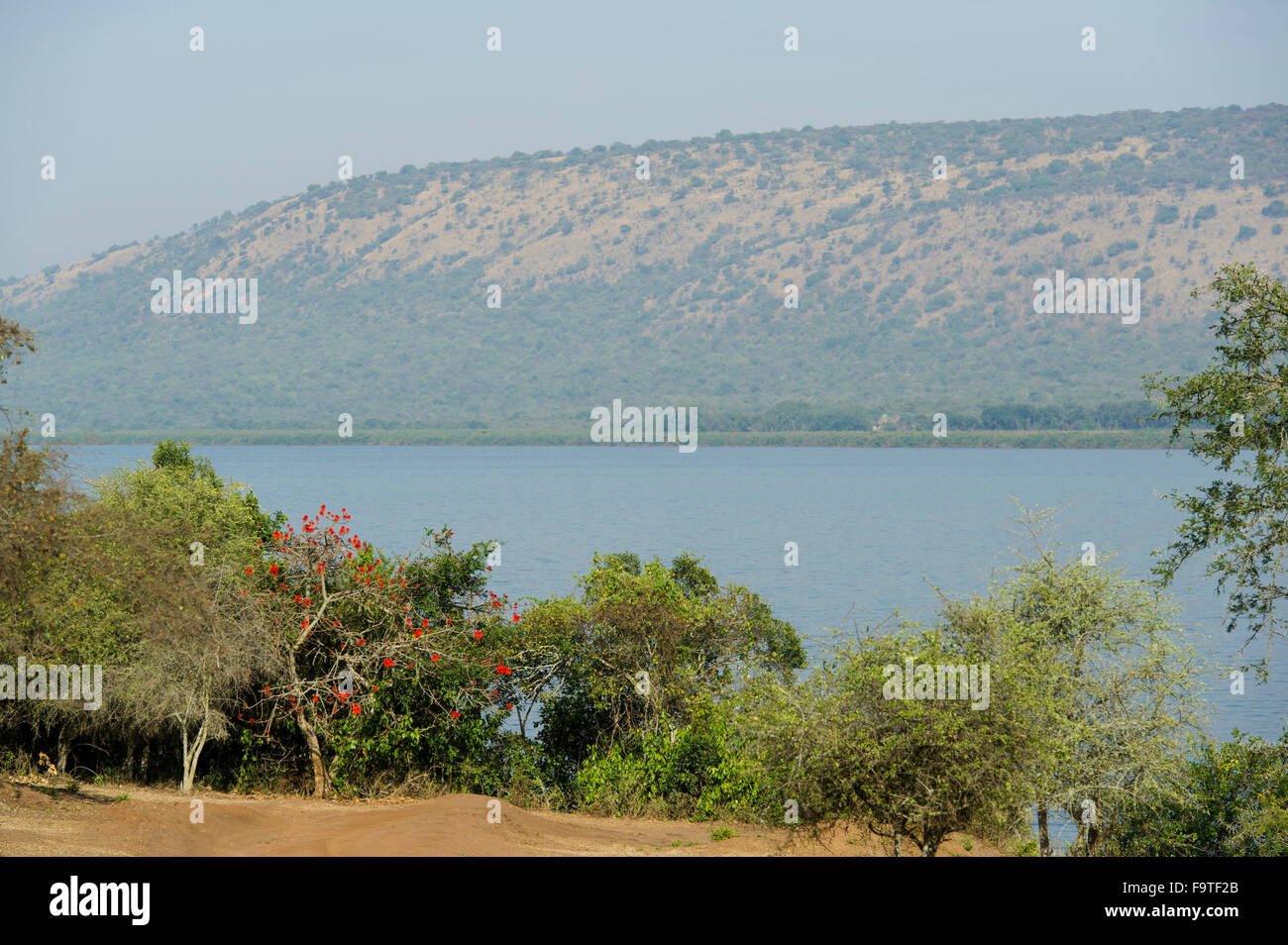 Lake Mburo National Park, Uganda Stock Photo - Alamy