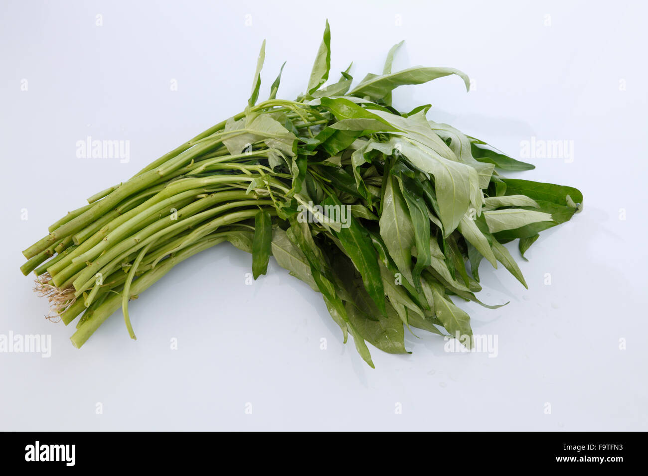 Water spinach isolated on white background Stock Photo - Alamy
