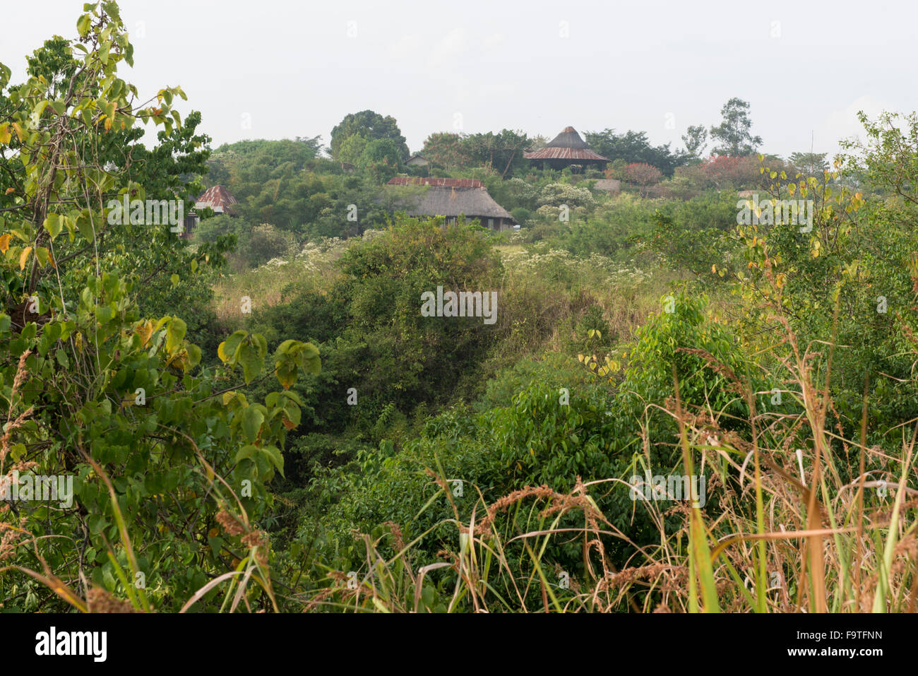 Kyamburu Gorge Lodge, Kyambura gorge, Queen Elizabeth National Park ...