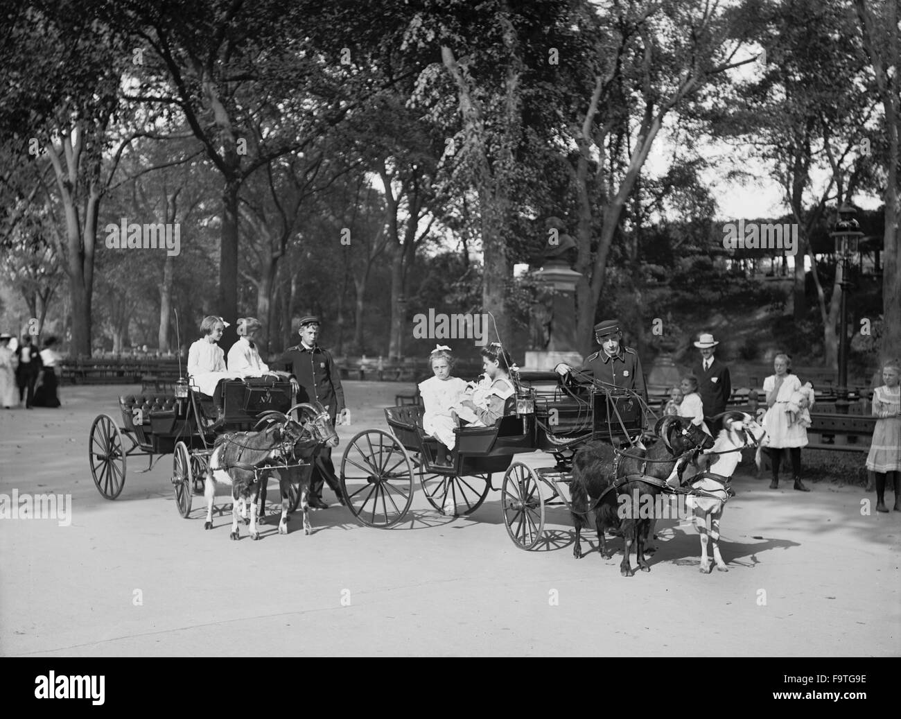 Children Riding in Goat Carriages, Central Park, New York City, New ...