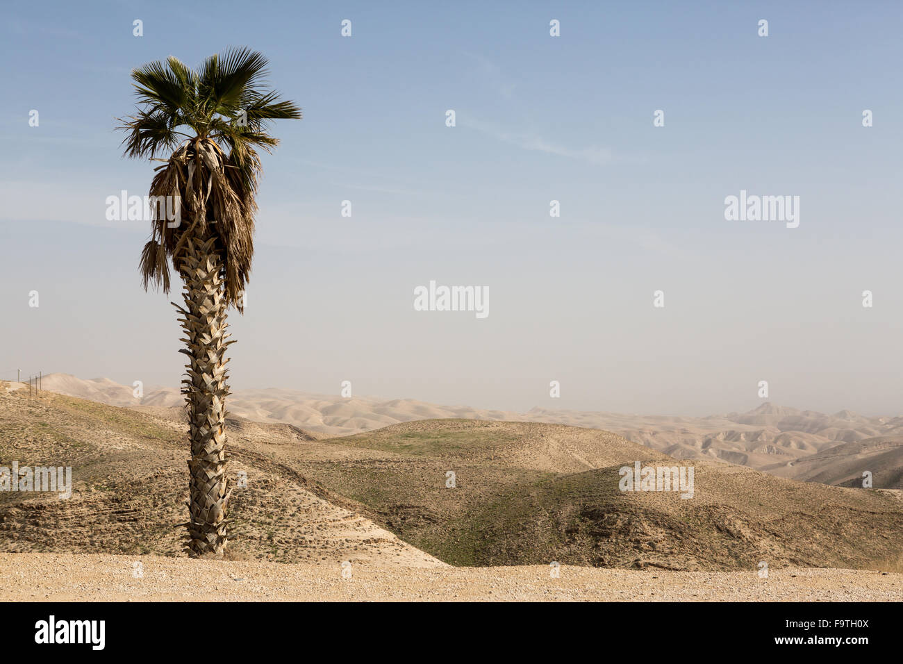 Israeli mountains in spring Stock Photo - Alamy