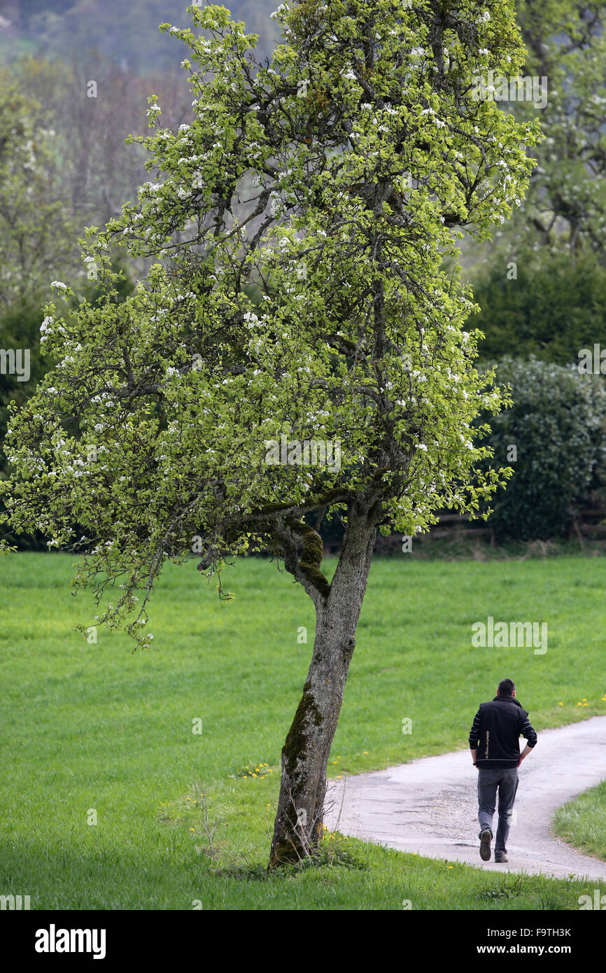 Man walking alone on a path Stock Photo - Alamy