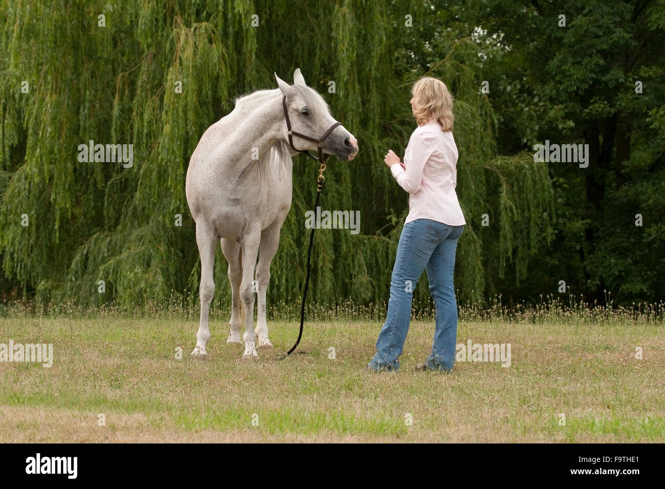 Ground tie hi-res stock photography and images - Alamy
