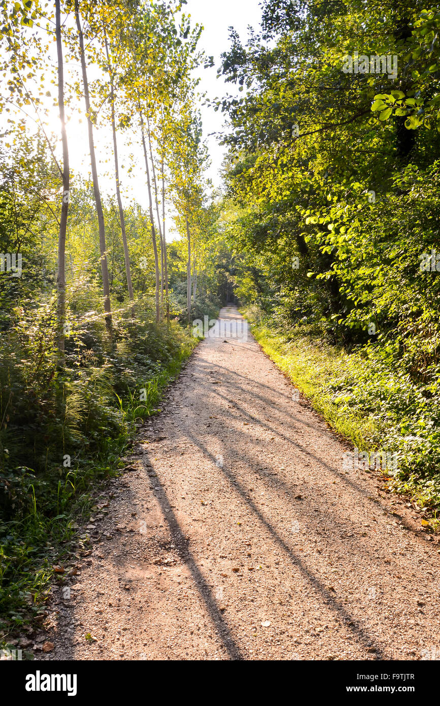 Countryside Desert Dirt Path Stock Photo - Alamy
