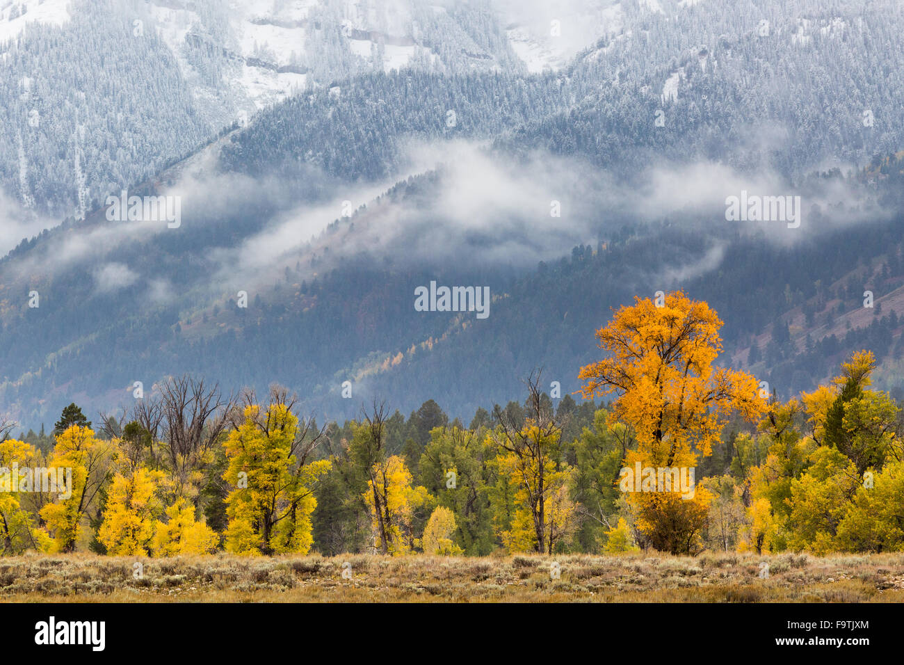 A fresh layer of snow covers the higher elevations of the Teton ...