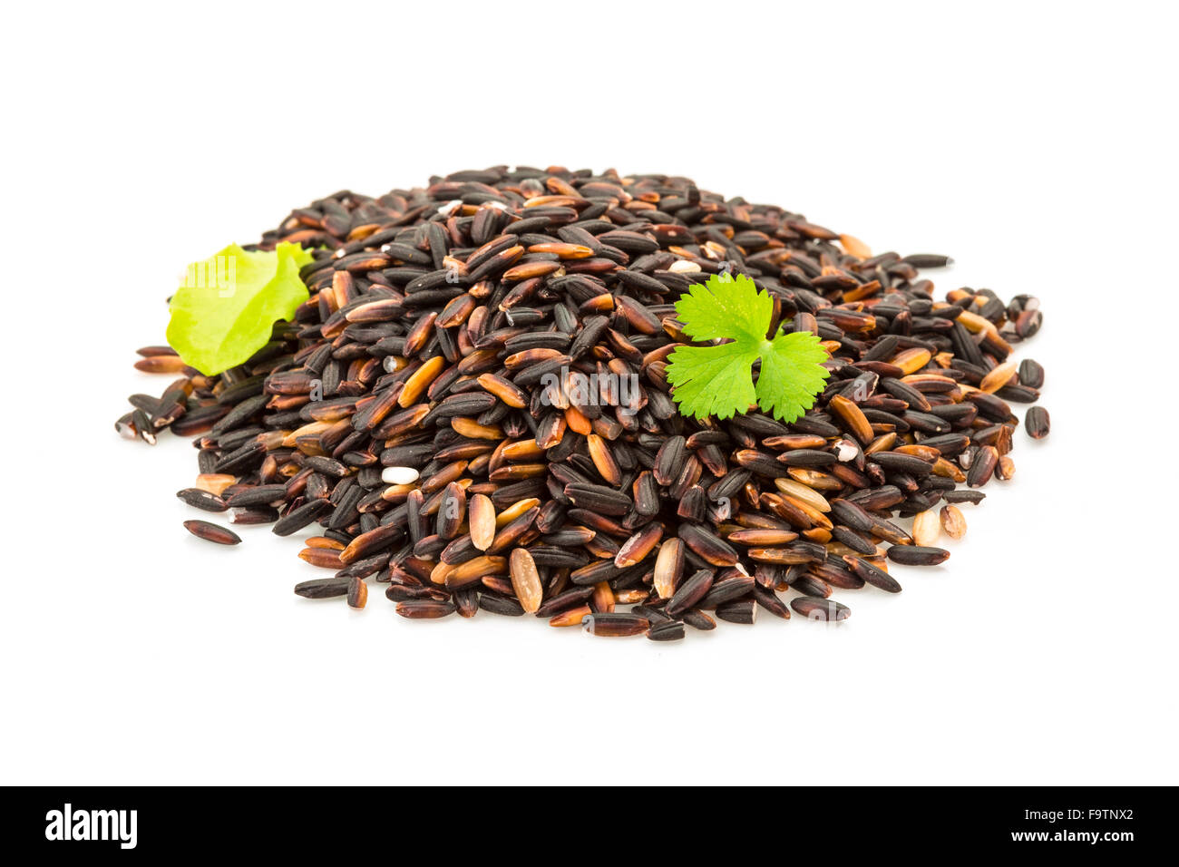 Black glutinous rice isolated Stock Photo - Alamy
