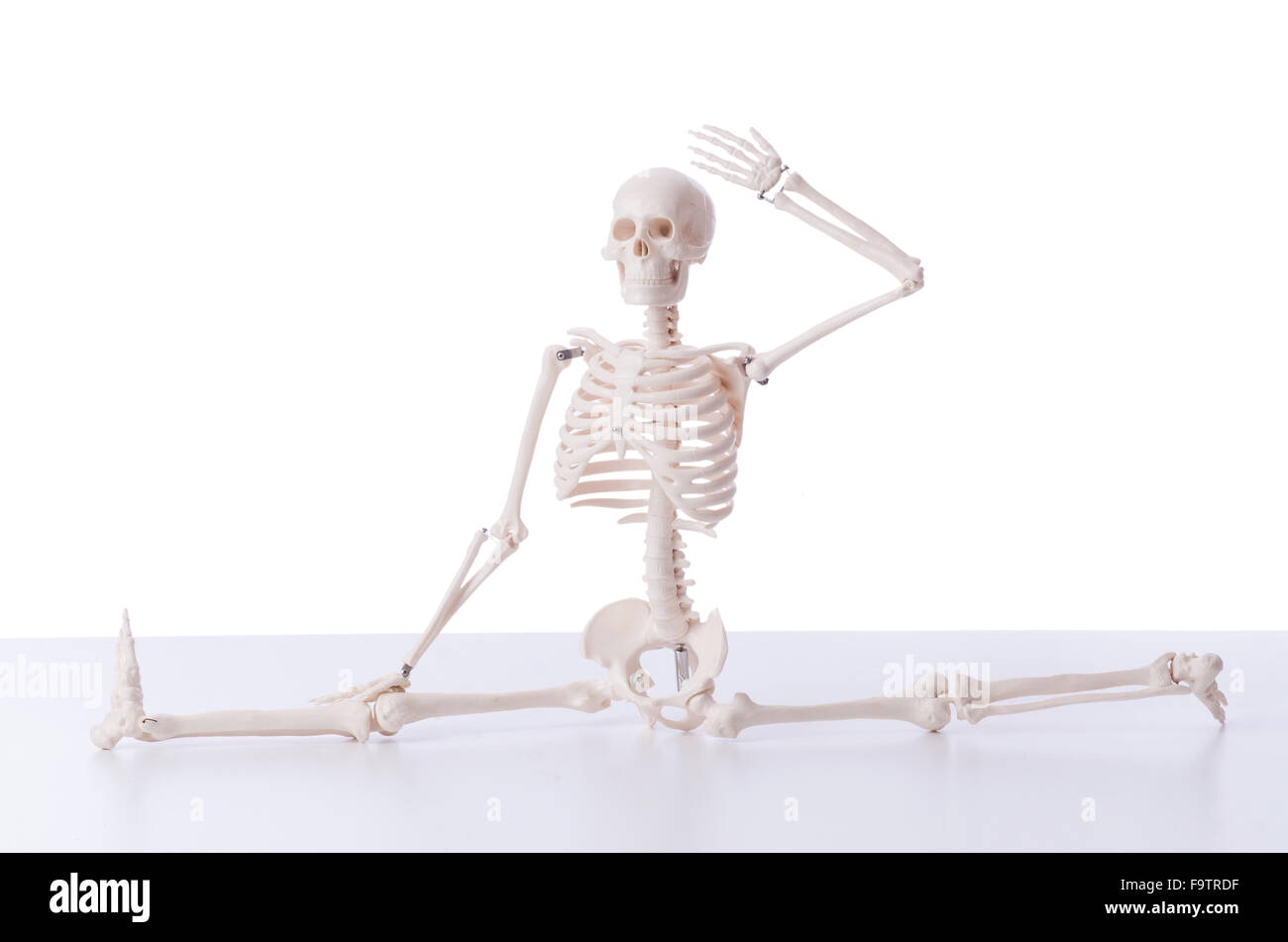 Funny skeleton isolated on white Stock Photo - Alamy