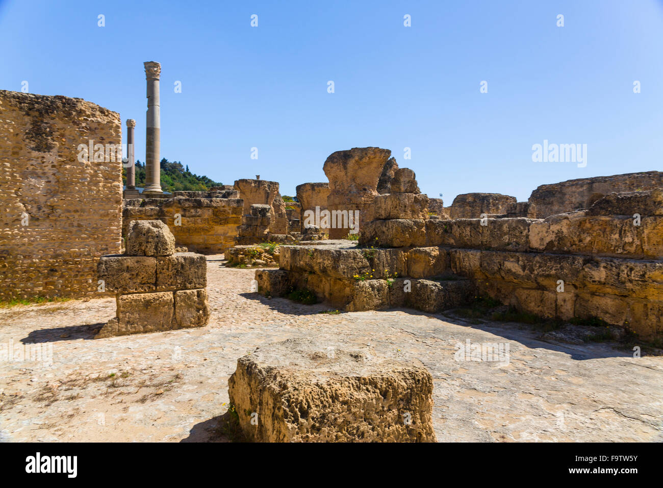 Old Carthage ruins in Tunisia Stock Photo - Alamy