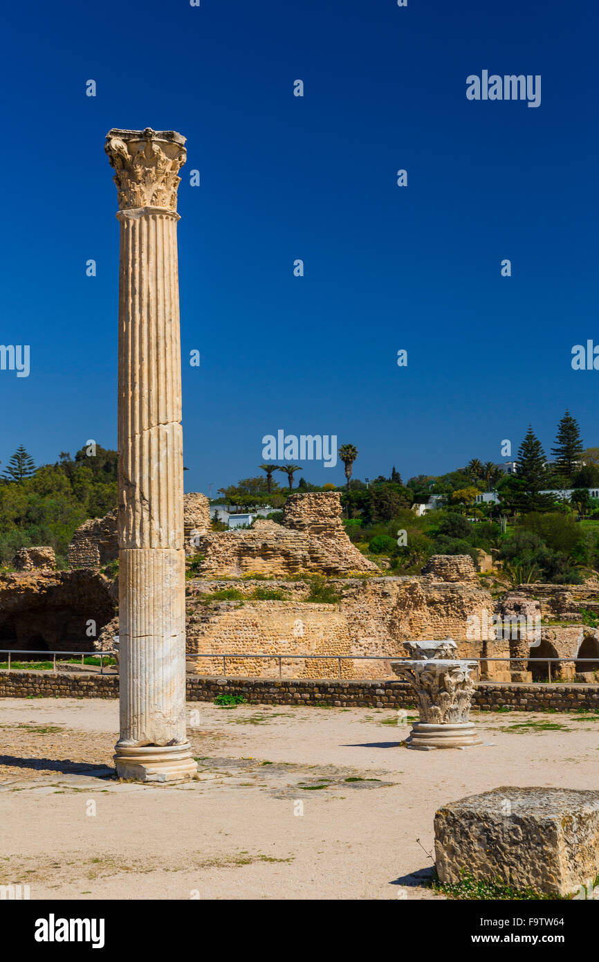 Old Carthage ruins in Tunisia Stock Photo - Alamy