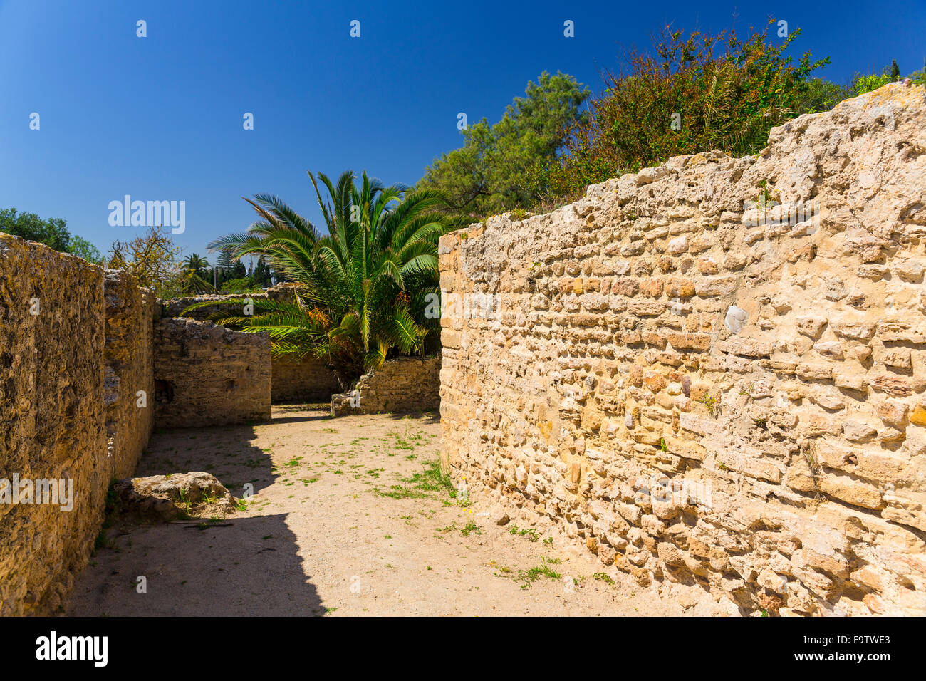 Old Carthage ruins in Tunisia Stock Photo - Alamy