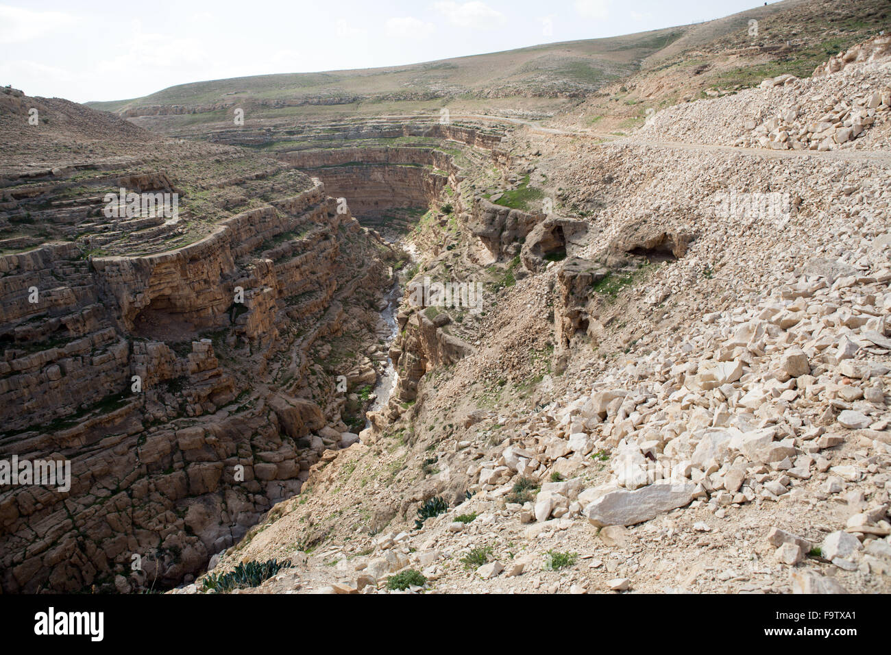 Israeli mountains in spring Stock Photo - Alamy