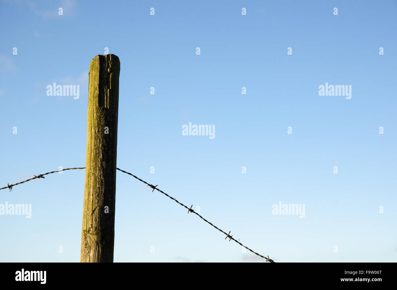 Fence post with old barb wire at blue sky Stock Photo - Alamy
