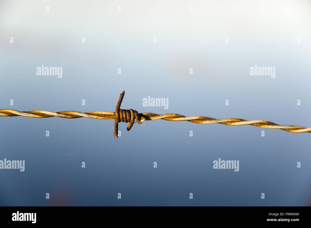 Detail of a rusty barb wire at blue background Stock Photo - Alamy