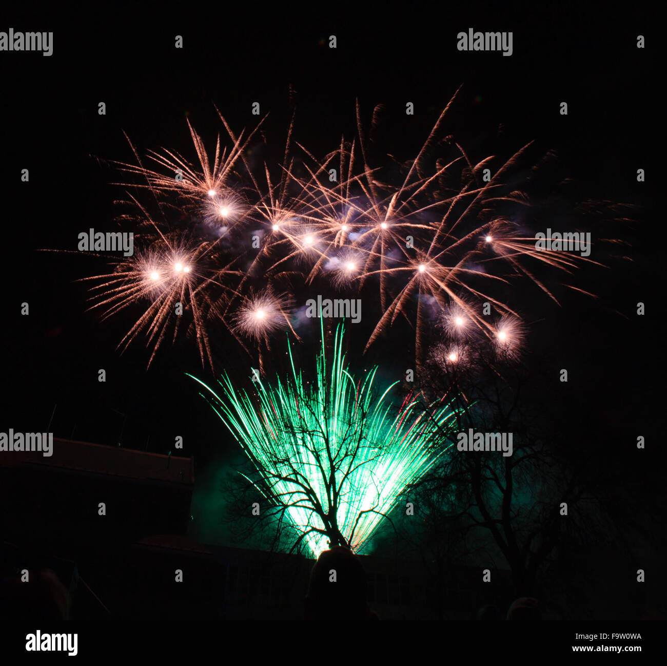 Beautiful and colorful Fireworks in the night sky Stock Photo - Alamy