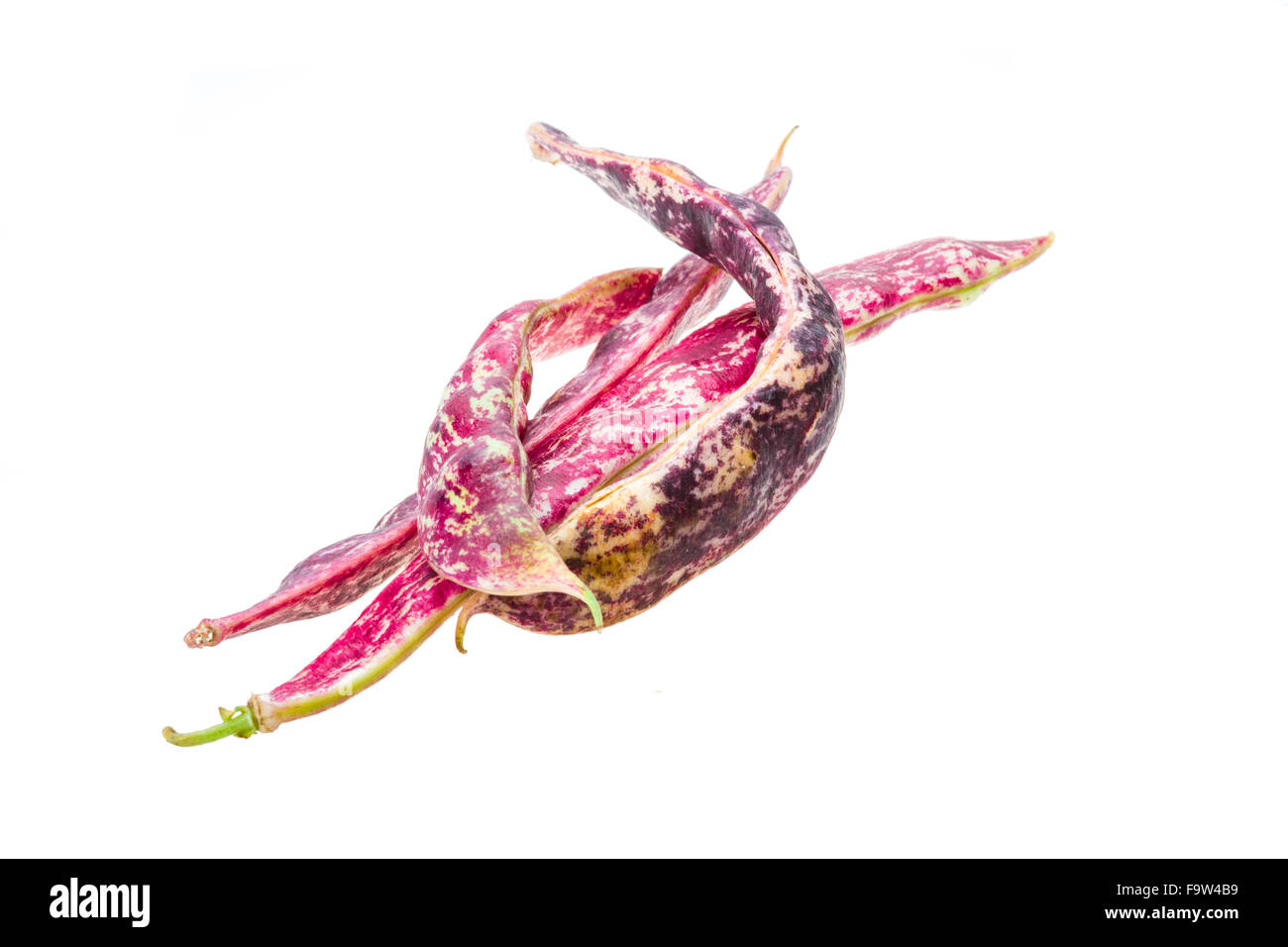 Red bean pod Stock Photo - Alamy