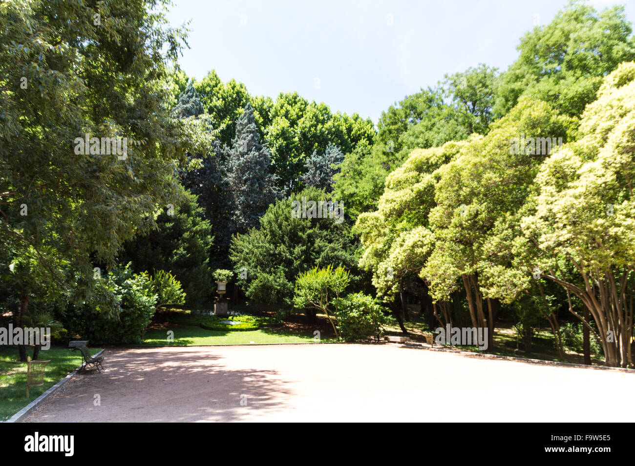 summer park, trees Stock Photo - Alamy