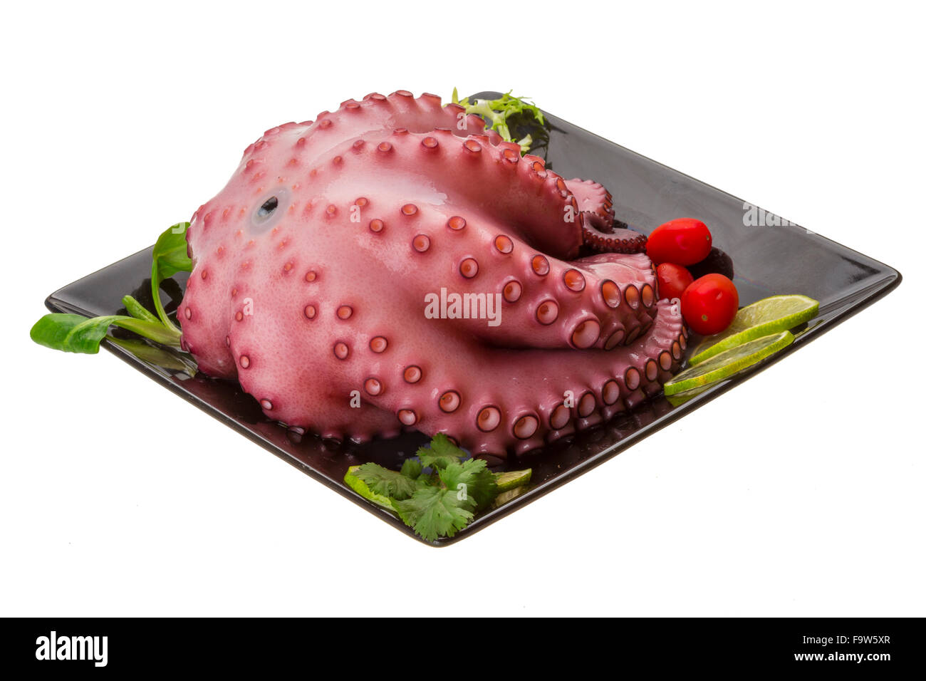 Galician cooked octopus leg hi-res stock photography and images - Alamy
