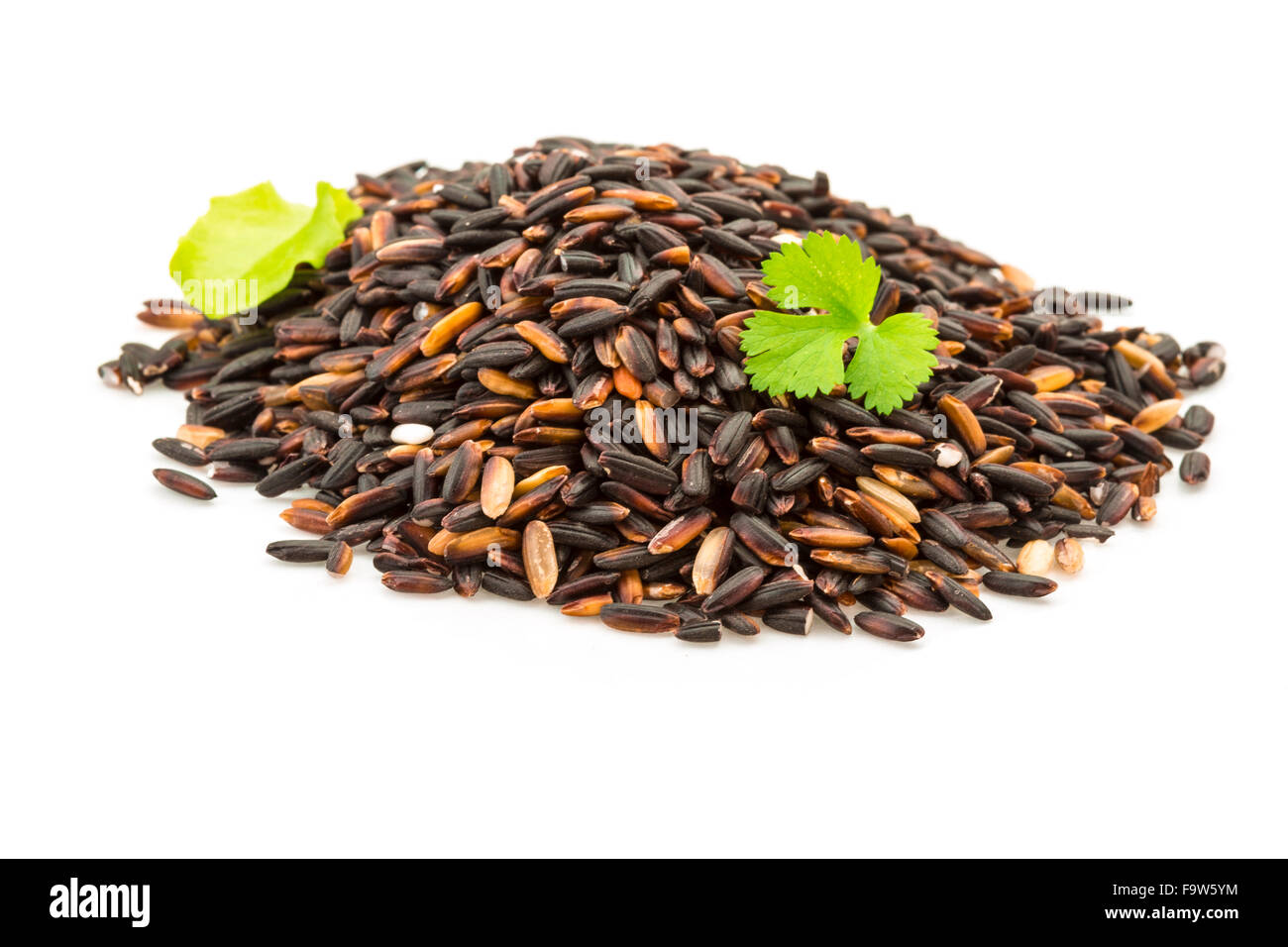 Black glutinous rice isolated Stock Photo - Alamy