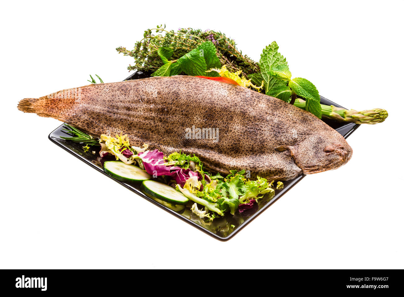 Fish Dover sole Stock Photo - Alamy