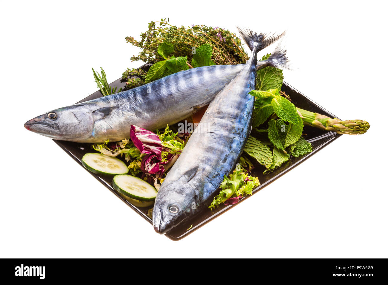 Atlanticmackerel hi-res stock photography and images - Alamy
