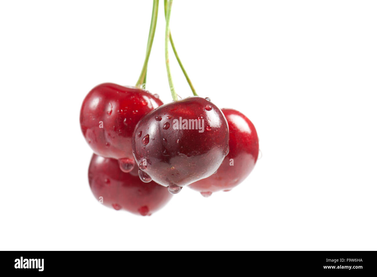 cluster of cherries with water drops, isolated on white Stock Photo - Alamy