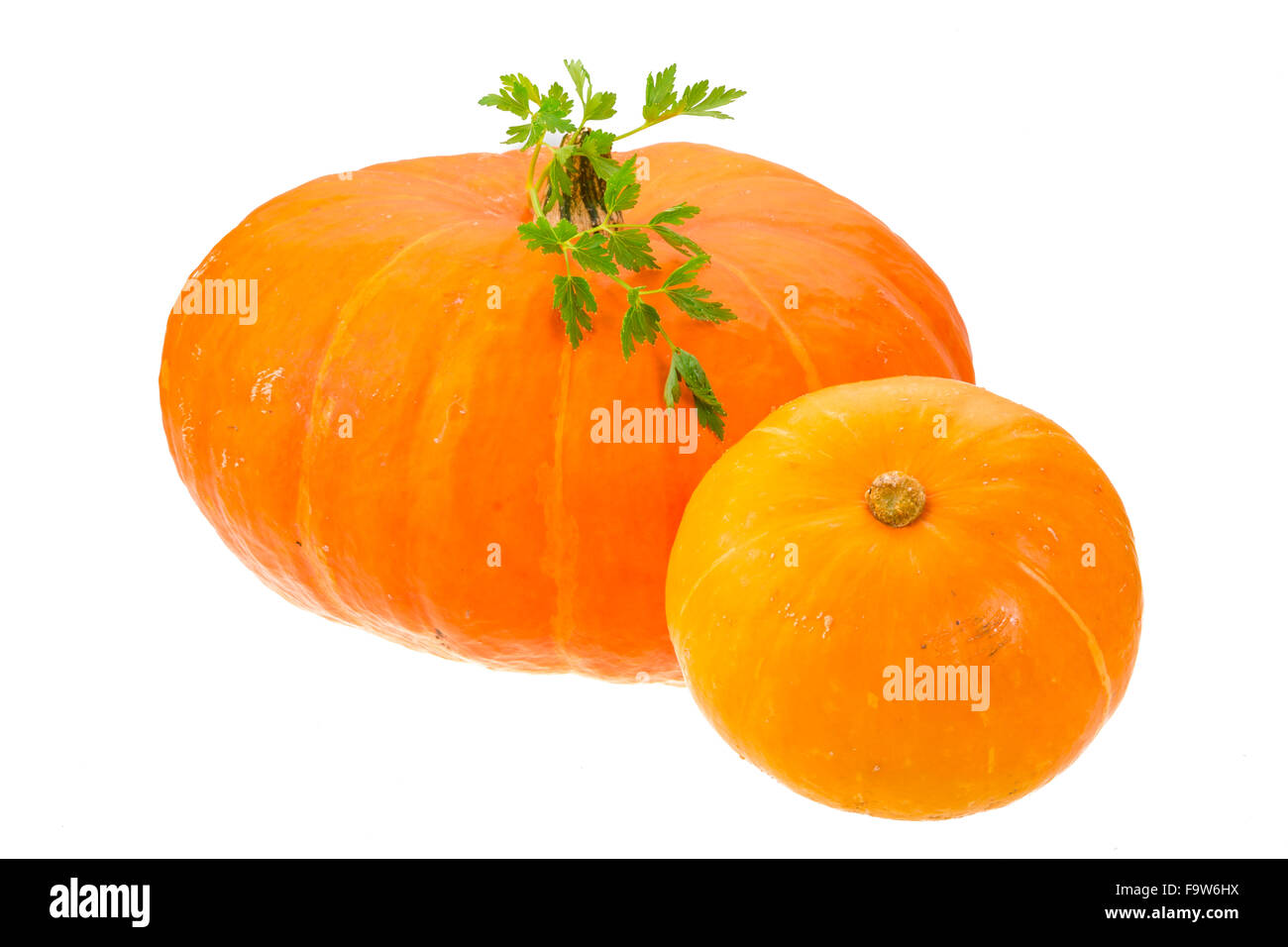 Raw Bright Pumpkin isolated Stock Photo - Alamy