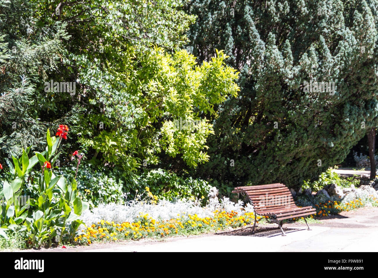 summer park, trees Stock Photo - Alamy
