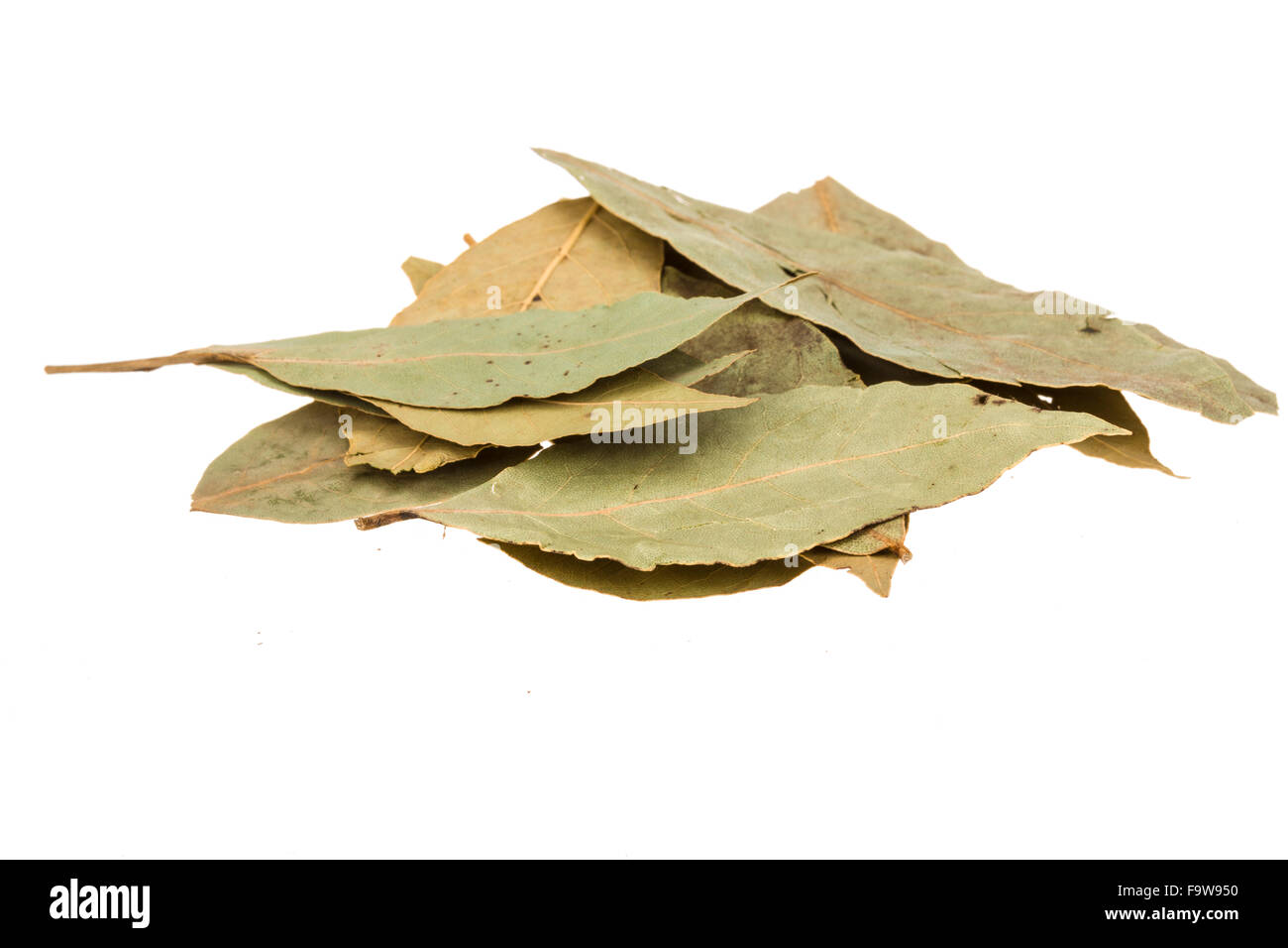 Laurel leaves isolated Stock Photo - Alamy
