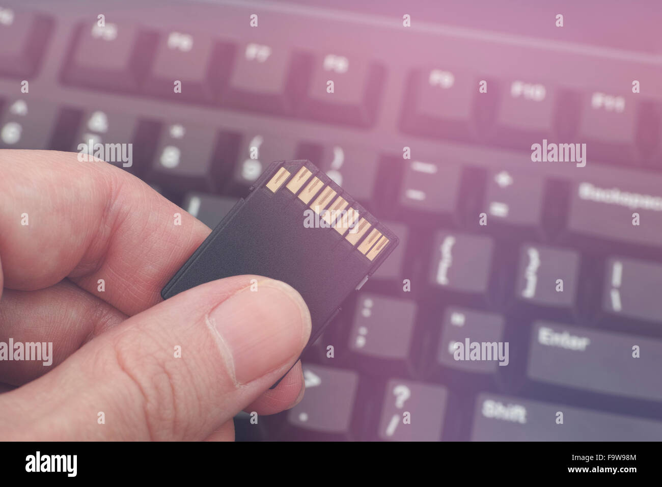 Hand holds SD Card against computer keyboard. Colorful light from ...