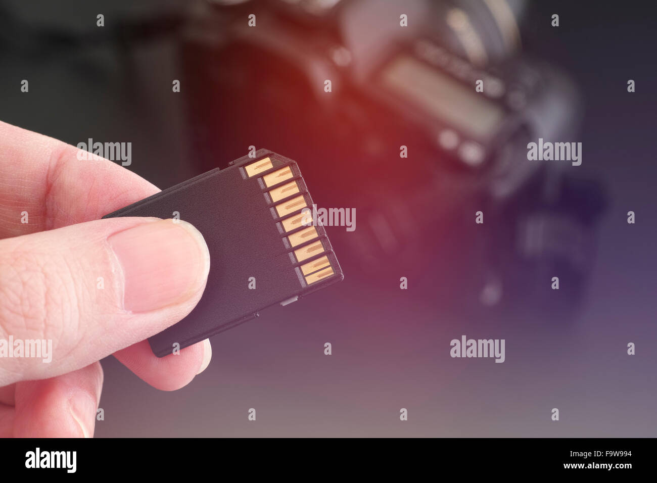 Man holds sd card hi-res stock photography and images - Alamy
