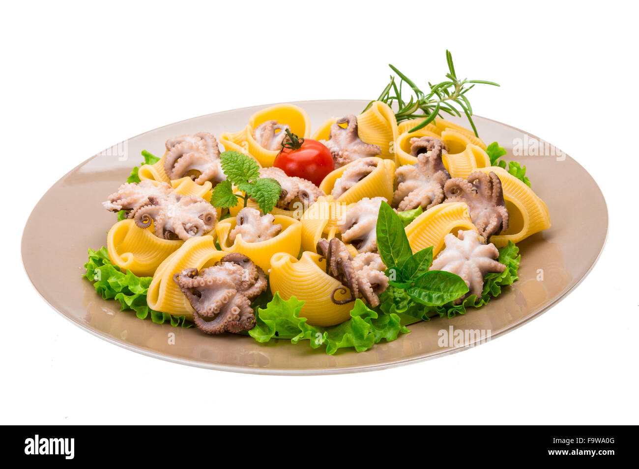 Octopus with shells Cut Out Stock Images & Pictures - Alamy