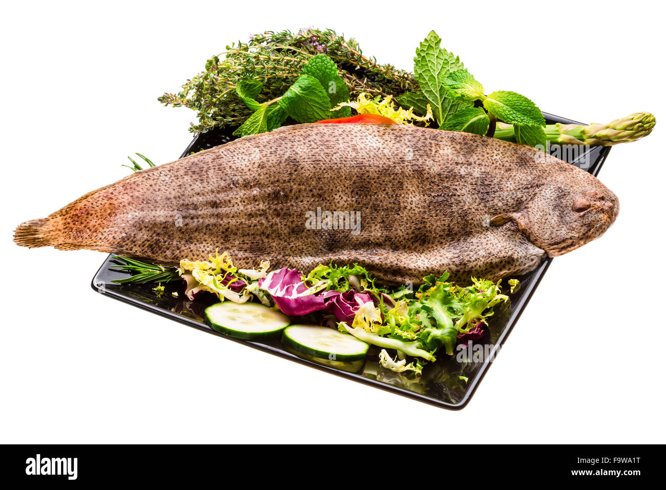 Fish Dover sole Stock Photo - Alamy