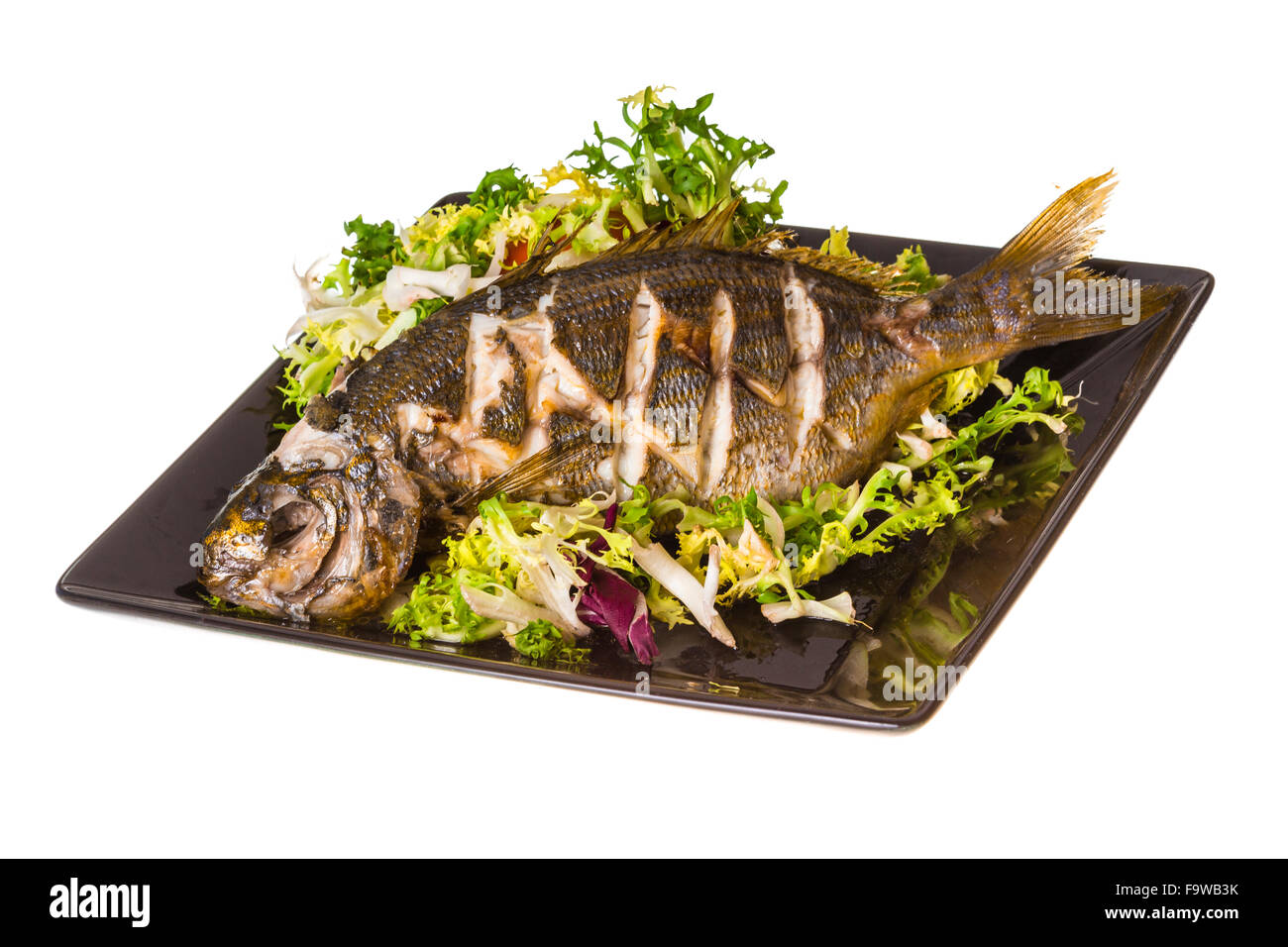 Salema porgy - sarpa fish Stock Photo - Alamy