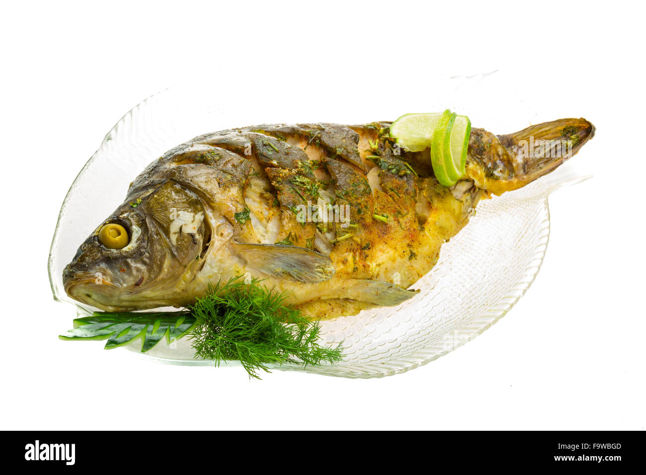 Fat carp Cut Out Stock Images & Pictures - Alamy