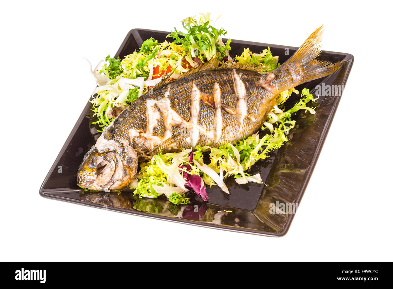 Salema porgy - sarpa fish Stock Photo - Alamy