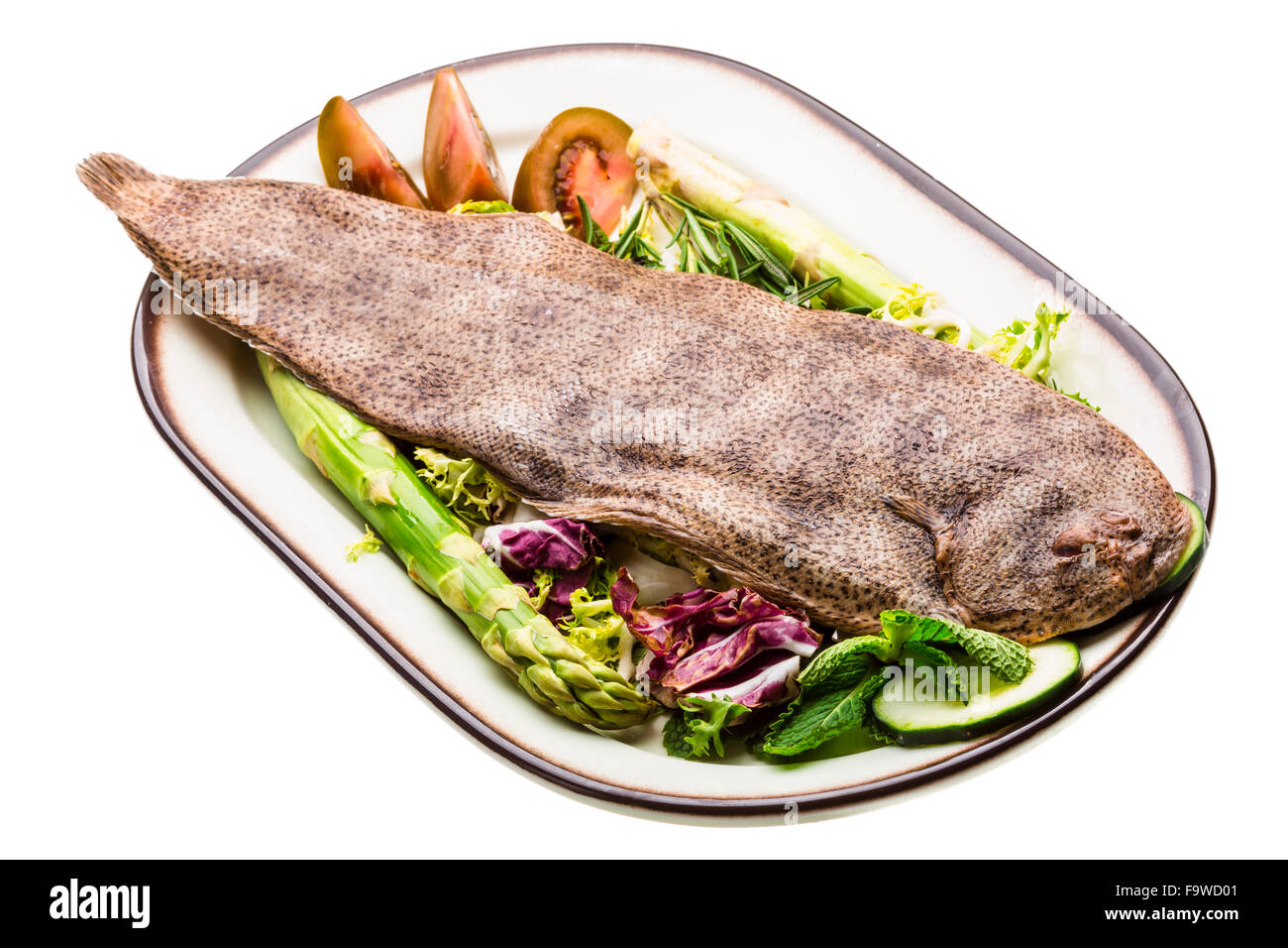 Fish Dover sole Stock Photo - Alamy