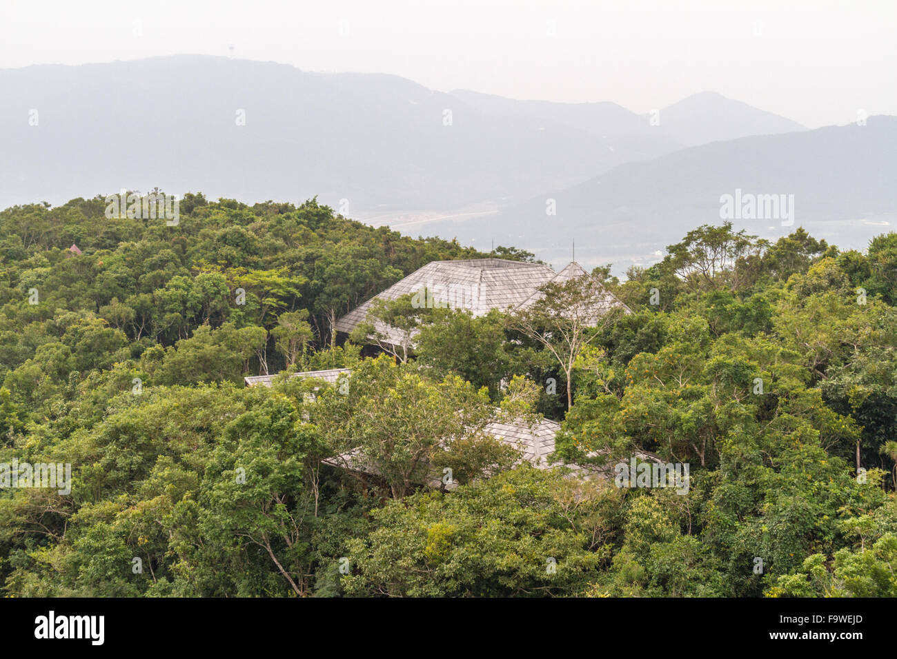 Chinese jungle, island of Hainan Stock Photo - Alamy
