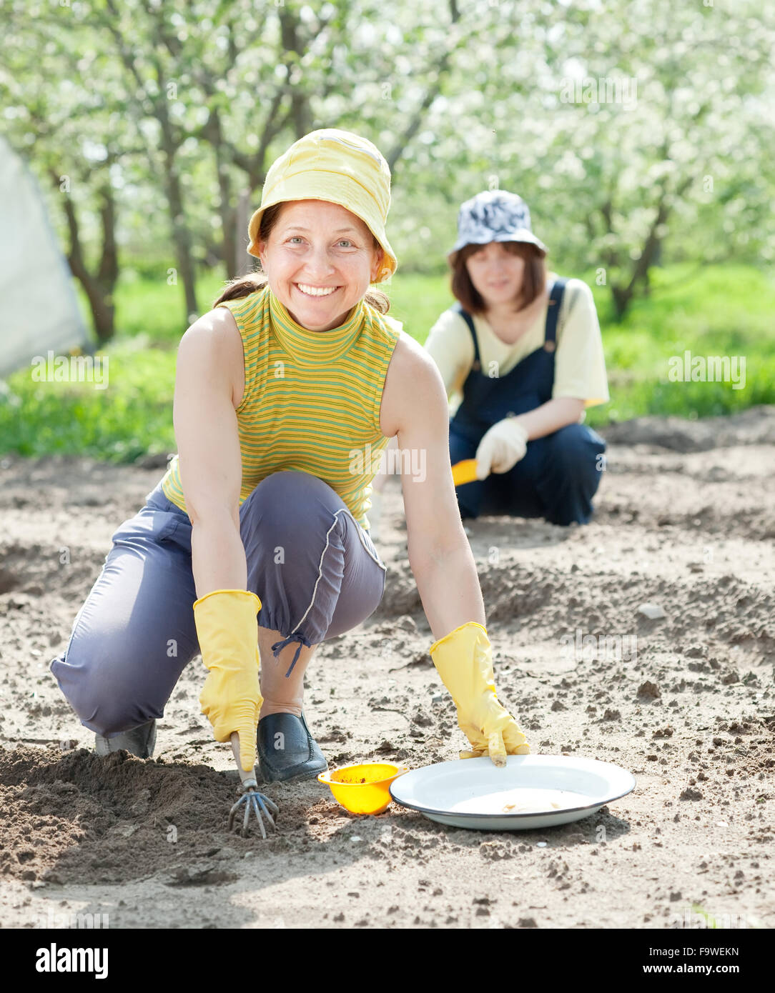 Women sowing seeds hi-res stock photography and images - Alamy